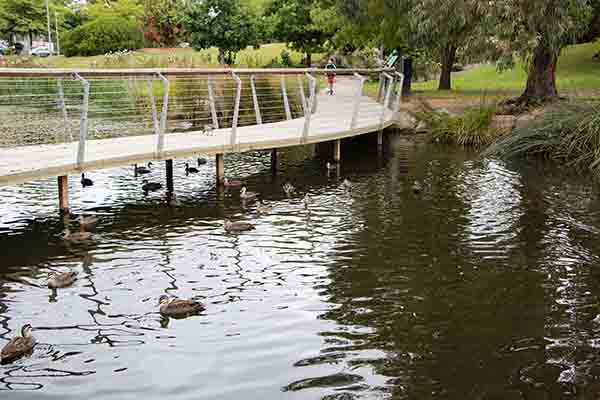 Lake boardwalk closure at Tim Neville Arboretum | Mirage News