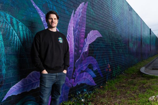 Magical undergrowth revealed | Mirage News