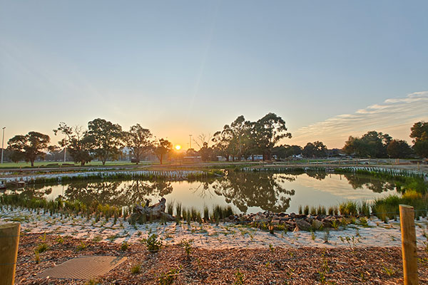 Explore new wetland at Gilbert Park | Knox